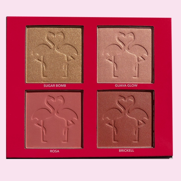 Shaina B | Makeup | 22 Shaina B Miami Blush And Highlight Palette ...